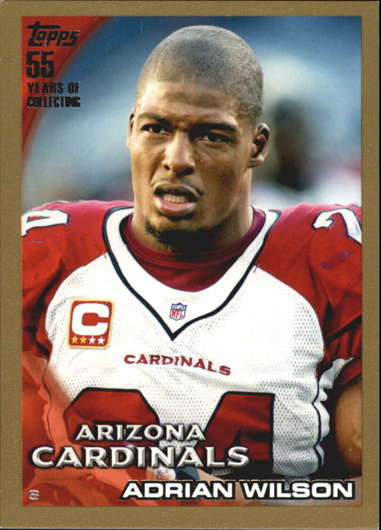 2010 Topps Gold Arizona Cardinals Football Card #181 Adrian Wilson/2010 ...