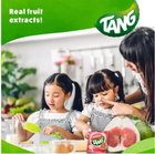 Tang Instant Drink Mix - Pomelo Flavor 19g (6 Packs) | eBay