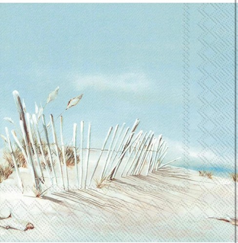 Two Single Cocktail Napkins for Decoupage Beach Life Sand Dune Coastal ...