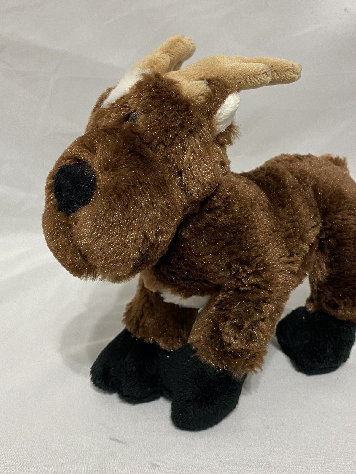 Webkinz Moose