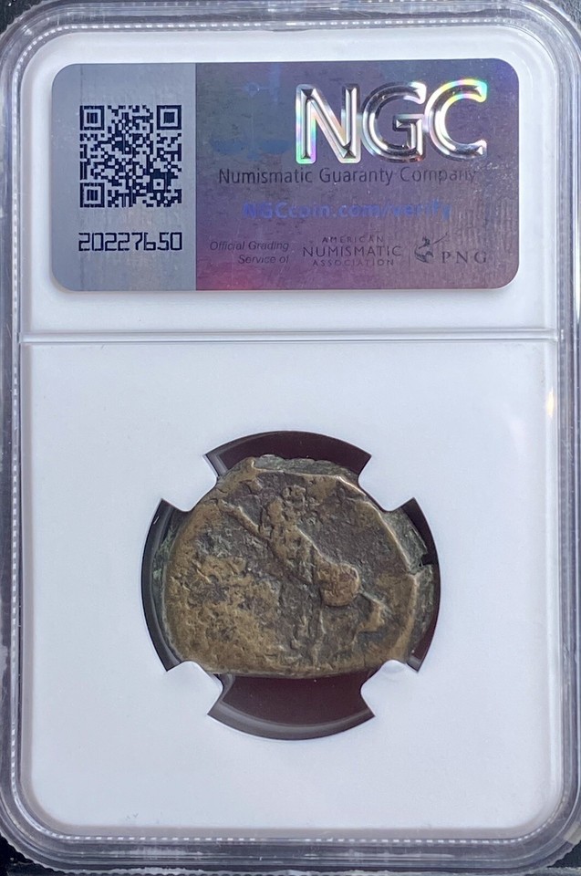 NGC Numidian Empire Coin 208BC-118BC Punic War Era Micipsa Ancient ...