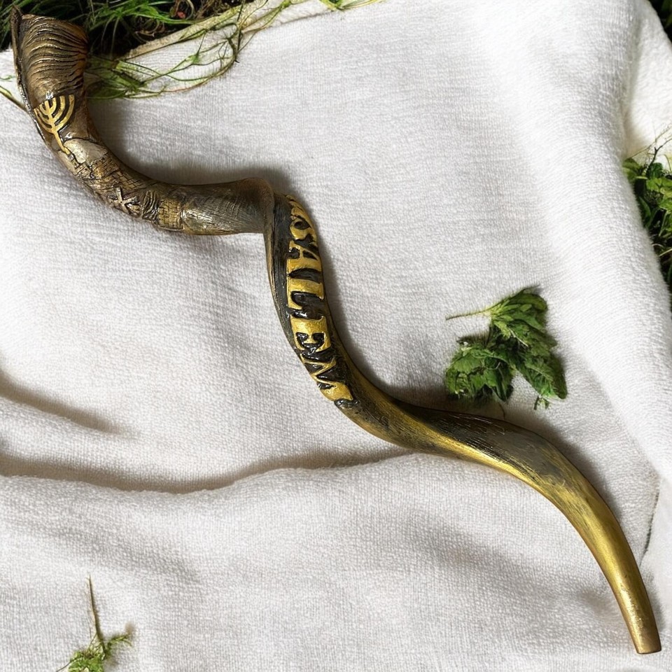Shofar Carved Kudu Engraving Engraved Yemenite Blow Horn Jewish ...