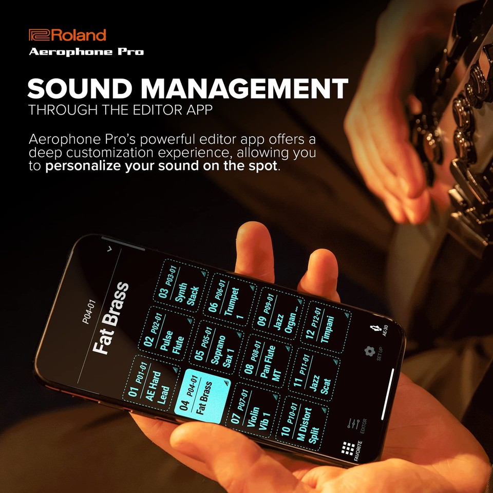ROLAND Aerophone Pro AE-30 Digital Wind Synthesizer Saxophone Flagship ...