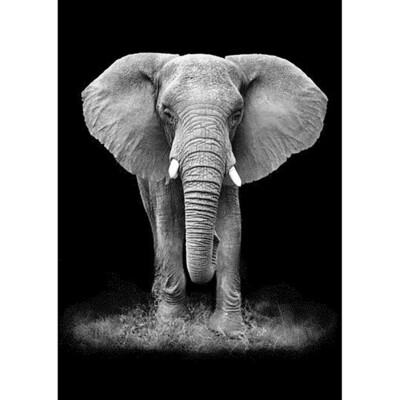 (DE5701) Elephant DIY Square Diamond Painting Picture Rhinestone Craft ...