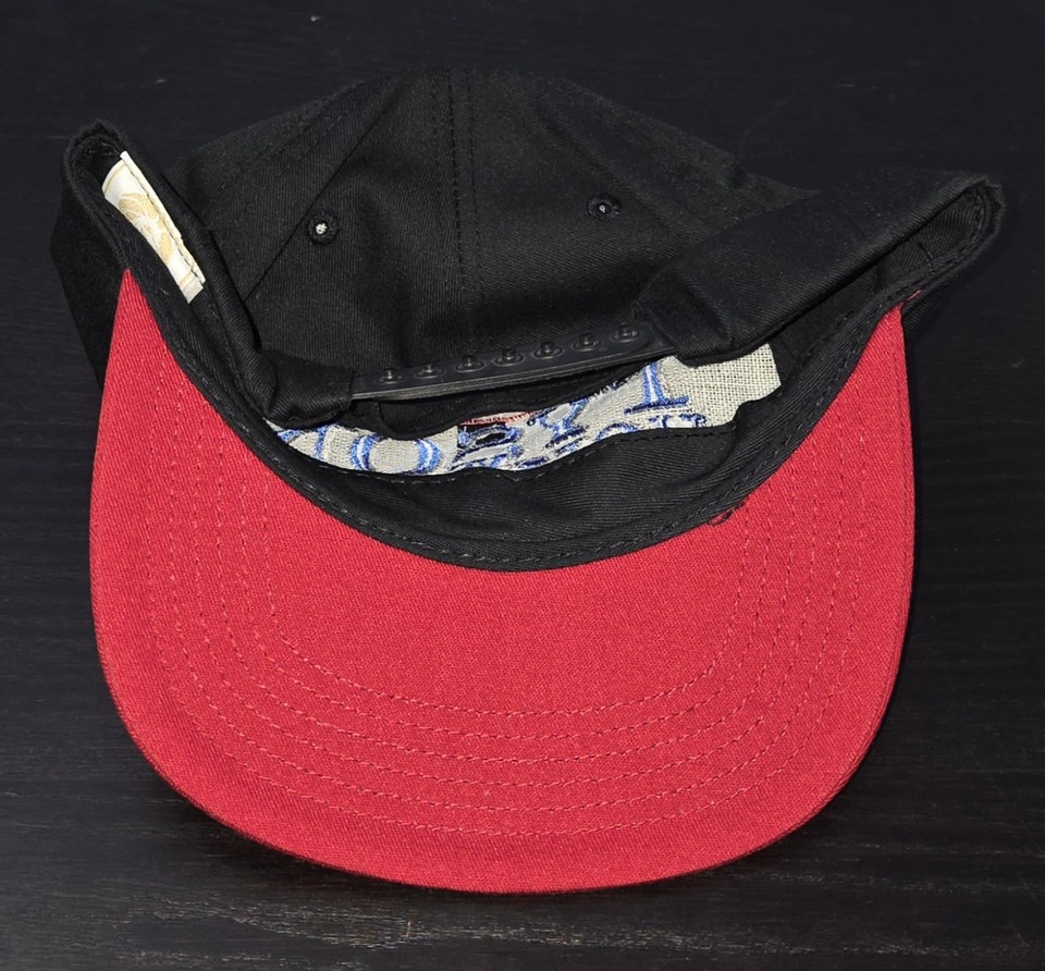 Vintage 90s Mike Tyson Vs Holyfield 1996 SnapBack Hat Boxing Adult ...