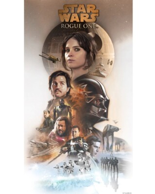 Star Wars Rogue One Jyn Erso Hope Lithograph Art Print Poster 15x28 ...