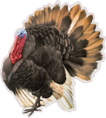 Realistic Turkey Sticker Car Truck Vehicle Bumper Decal | eBay
