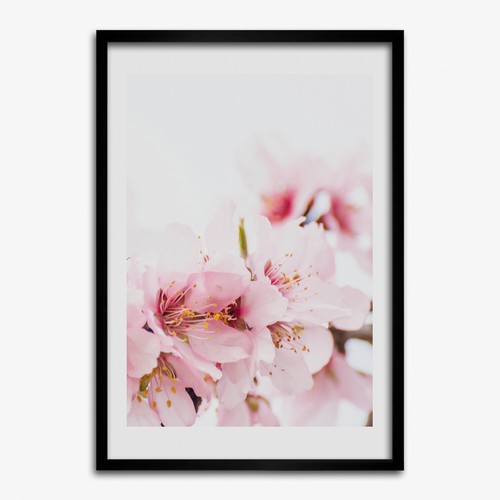 Photo MDF 70x100cm Cadre Le salon Décor Fleurs d'amande | eBay