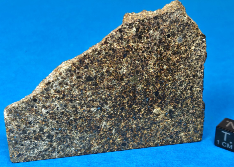 72.7 GR. SLICE MOUNT TAZERZAIT L5 CHONDRITE METEORITE FALL | eBay
