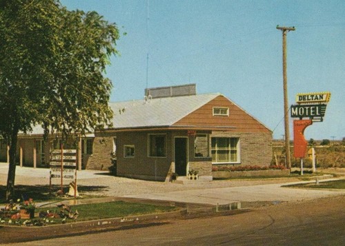 Delta Motel Delle Utah Roadside Lodging Trees Postcard | eBay
