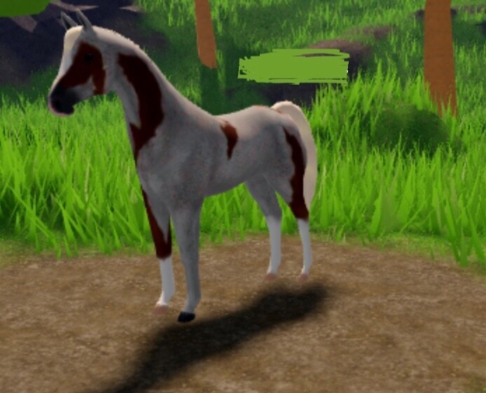 Chimera Horse