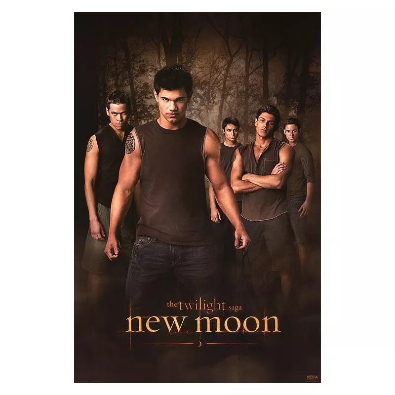 Twilight New Moon Poster