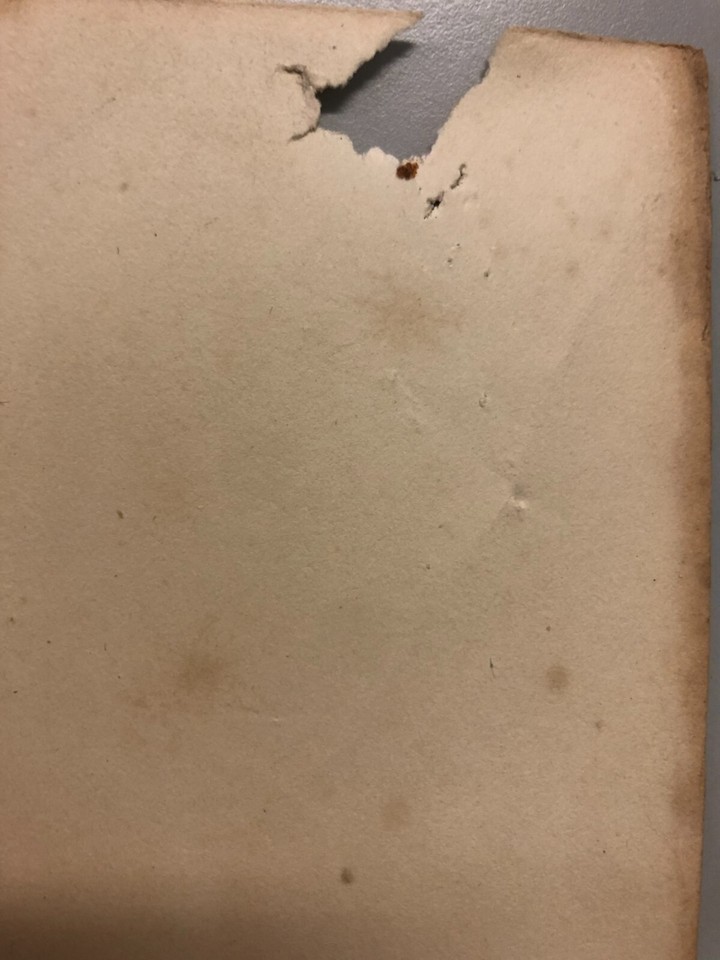 Antica incisione Charles Geoffroy Metà 800 Alessandro Vittoria 27,0x17 ...