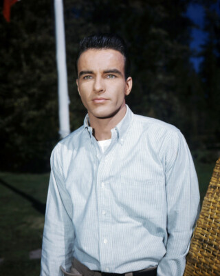 Montgomery Clift Portrait Rare Early Color Portrait Iconic Star 16x20 ...