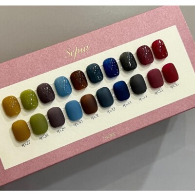 MORE GEL Sepia Set 10 Colors F/W Syrup Gel Nail Polish K-Beauty | eBay