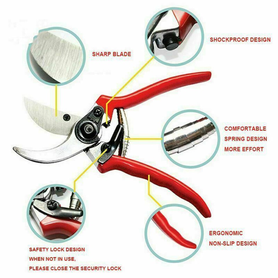 US 2 Pc Pruning Shear Cutter Plant Floral Scissor Branch Pruner Home ...