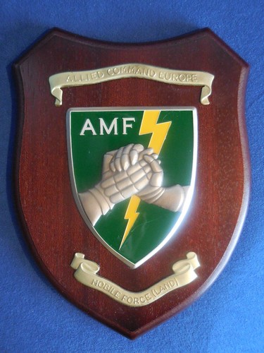 Crest AMF allied command Europe mobile force NATO | eBay