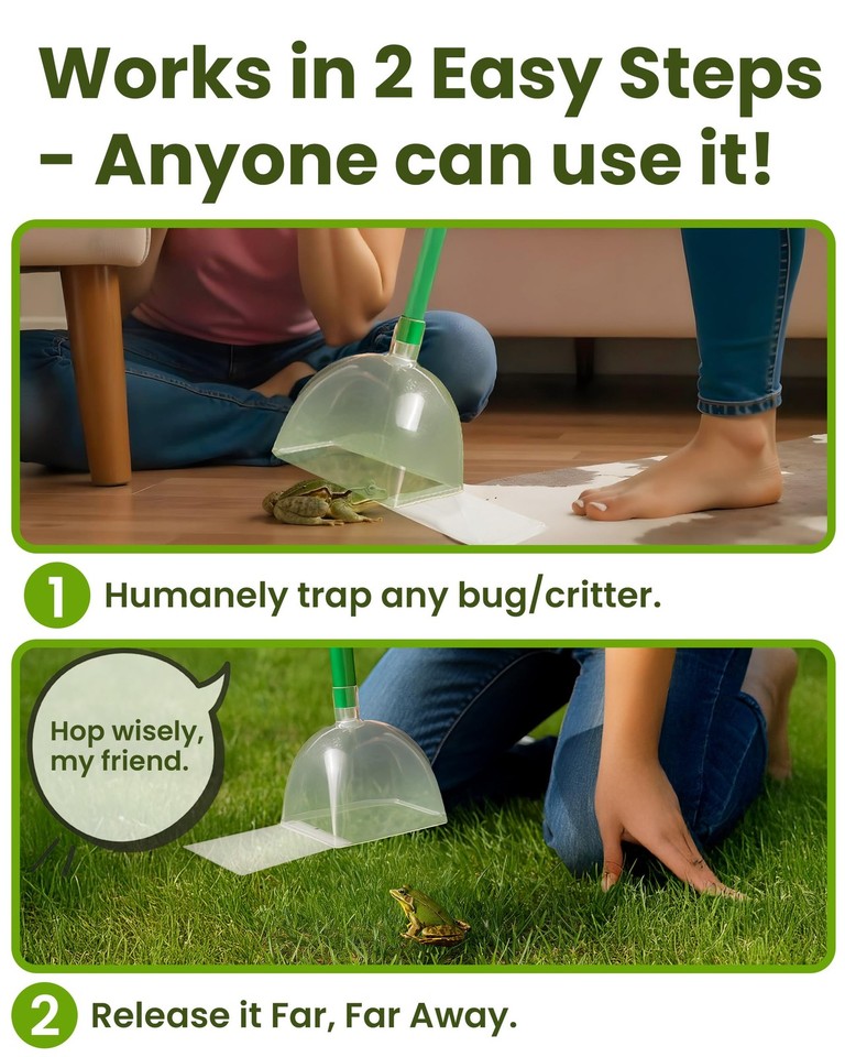 Katcha Acrylic Critter Catcher Live Trap - Large Plastic No-Harm Bug ...