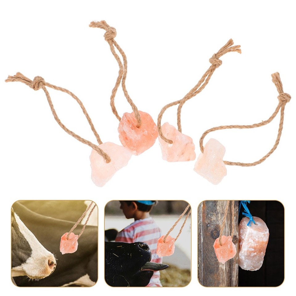 6 Pcs Mineral Block for Deer Salt Animals Licking Blocks Cattle and ...