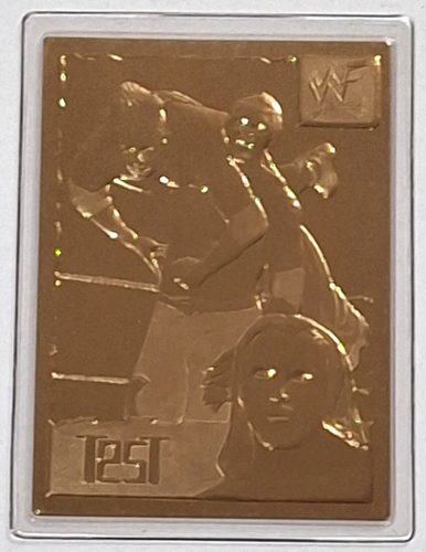 2001 WWF DANBURY MINT TEST 22kt GOLD WRESTLING CARD #48 WWE ANDREW ...
