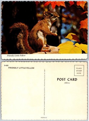 Continental Friendly Little Fellow Postcard | eBay
