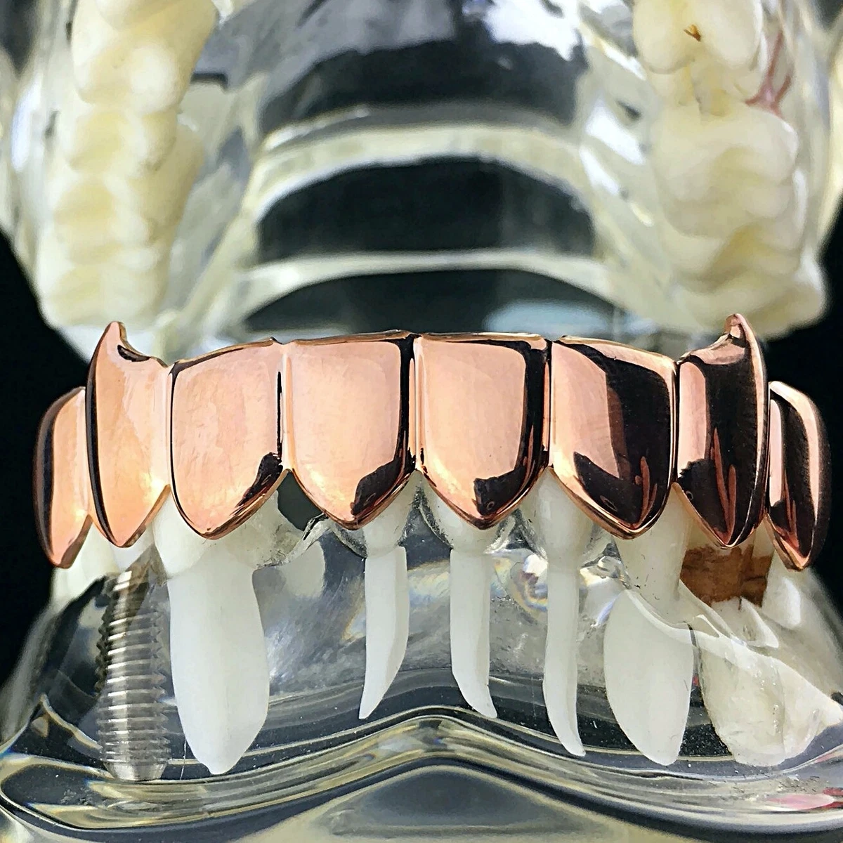 Vampire Grillz Bottom