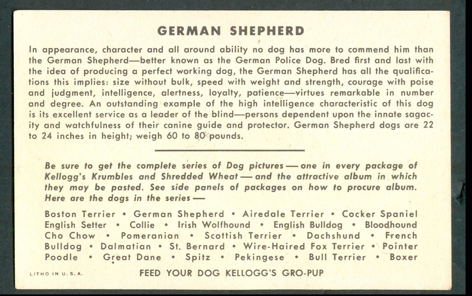 German Shepherd Dog Cereal Card 1940s Kelloggs F273-6 USA Dog Breeds ...