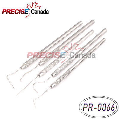 New 5 Pc Piece Dental Probe Set Kit Hygiene Tools Stainless Steel PR ...