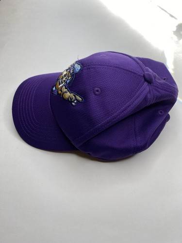 Fort Myers Mighty Muscles MiLB Baseball Cap Hat Minnesota Twins ...