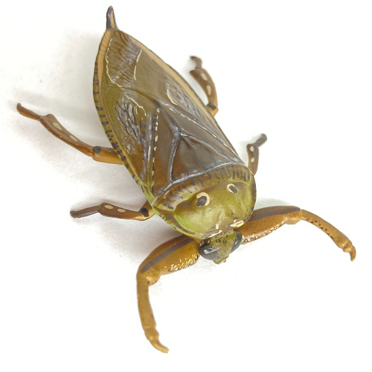 Giant Japanese Water Bug
