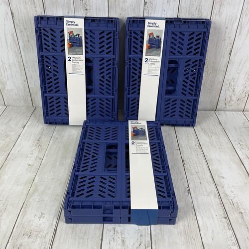 Set of 2 Simply Essential™ Medium Collapsible Crates - 3pks (6 Crates ...