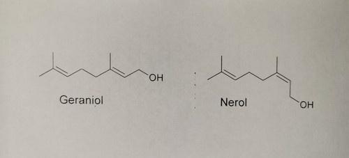 GERANIOL 60 (4000 mL in Amber Glass Jug) 100% Mixture of Geraniol/Nerol Isomers | eBay