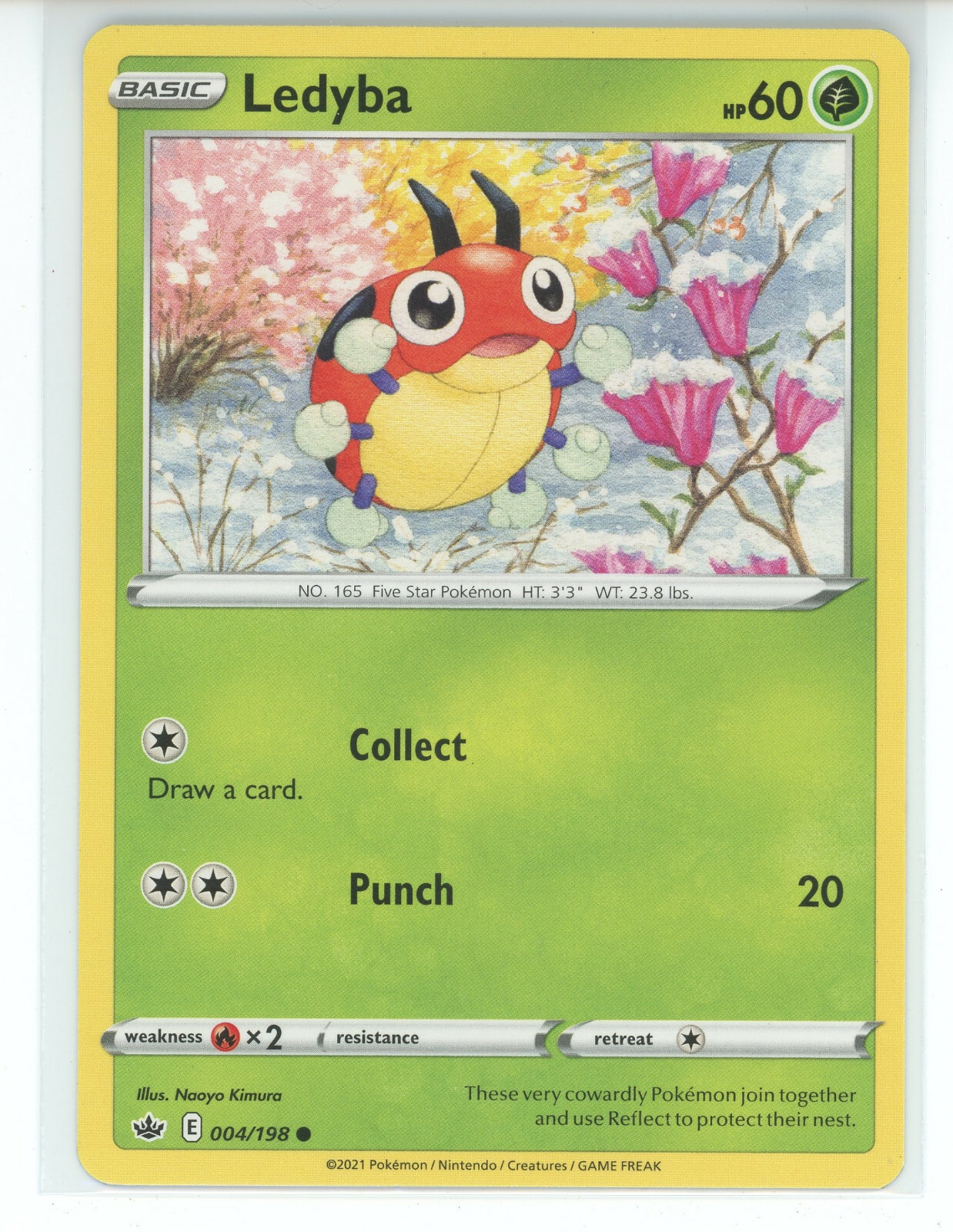 Pokemon 2021 S&S Chilling Reign Ledyba 004/198 Common | eBay