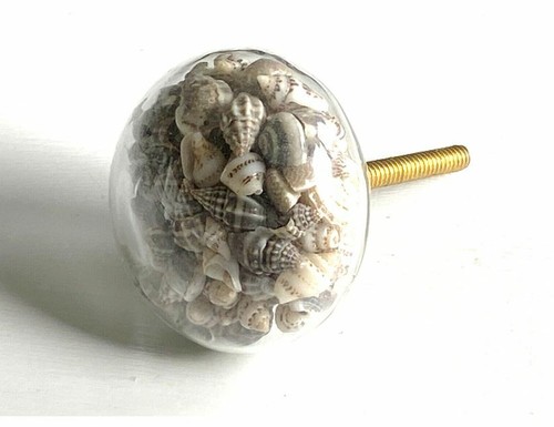 2 Live Seashell Filled Glass Drawer Pulls Knobs Cabinet Handles Gold ...