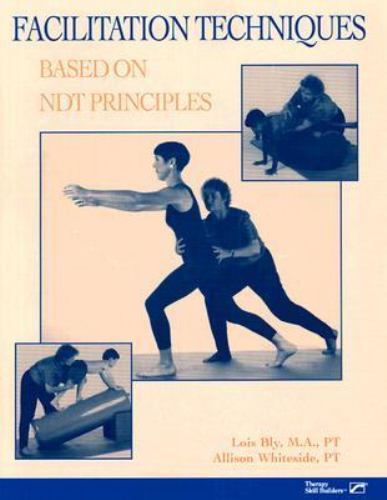 Facilitation Techniques Based on NDT Principles by Allison Whiteside ...