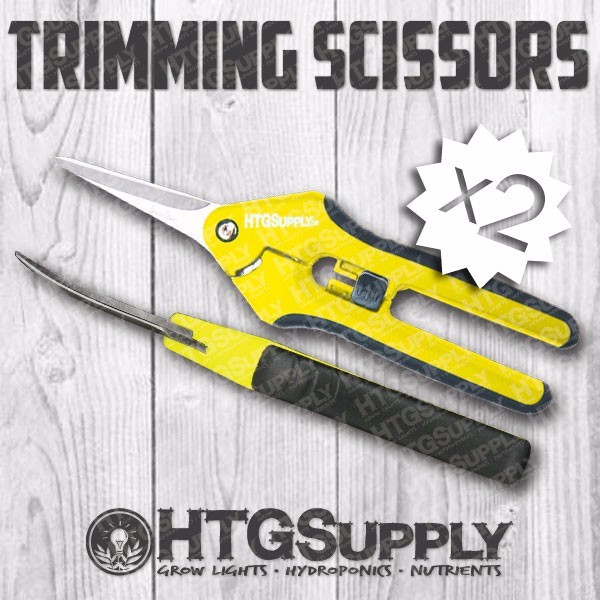 2-PACK CURVED MICRO TIP SCISSORS PRUNER PRECISION SPRING PLANT TRIMMER ...