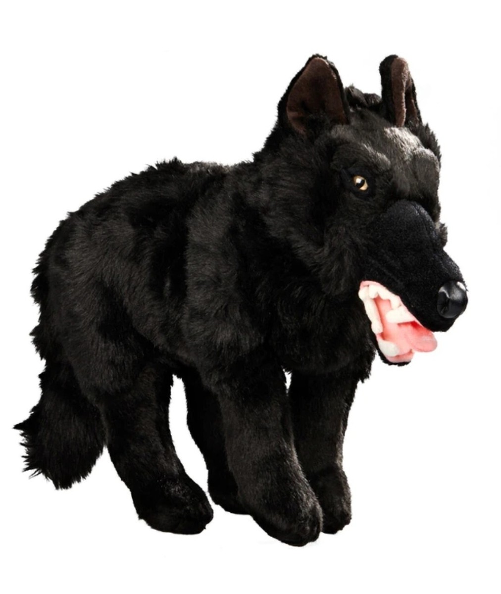 Sirius Black Og Harry Potter