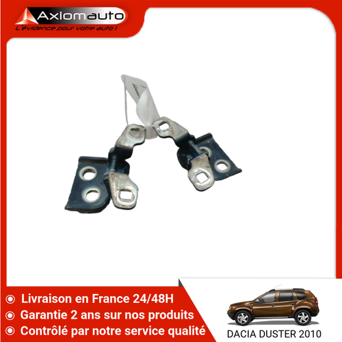 🇫🇷 CHARNIÈRE PORTE AVG DACIA DUSTER BREAK Phase 1 2010-2013 6001546883 ...