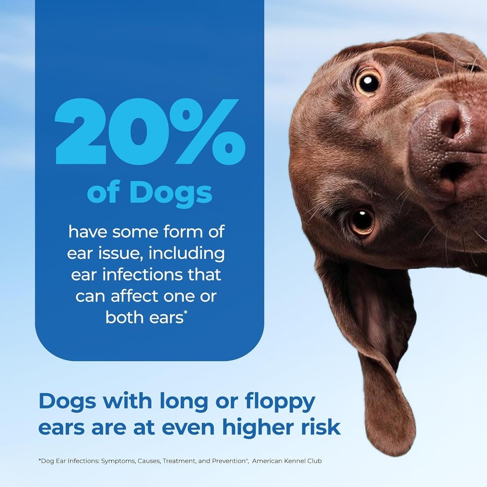 Vetnique Oticbliss Medicated Dog Ear Infection Treatment, Antiseptic ...