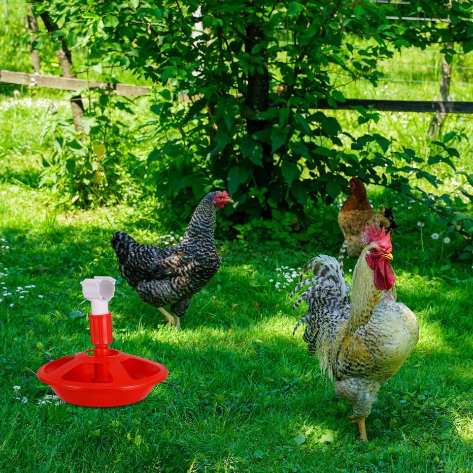 Chicken Water Dispenser Automatic Adjustable Poultry Waterer and Feeder ...