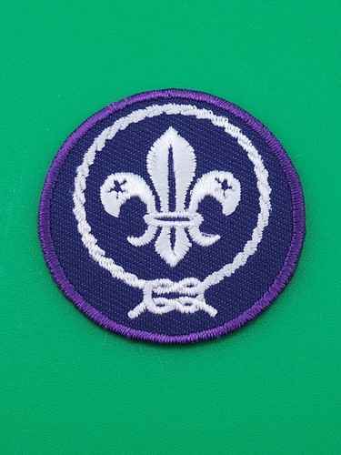 Cub Scouts World Crest Uniform Patch Felt Back Made In Thailand BSA ...