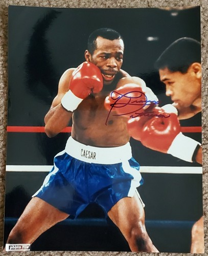 TRACY PATTERSON SIGNED 8X10 PHOTO BOXING | eBay