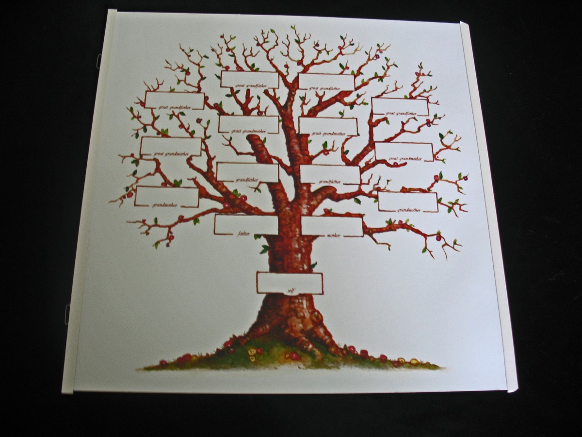 Family Tree Designs