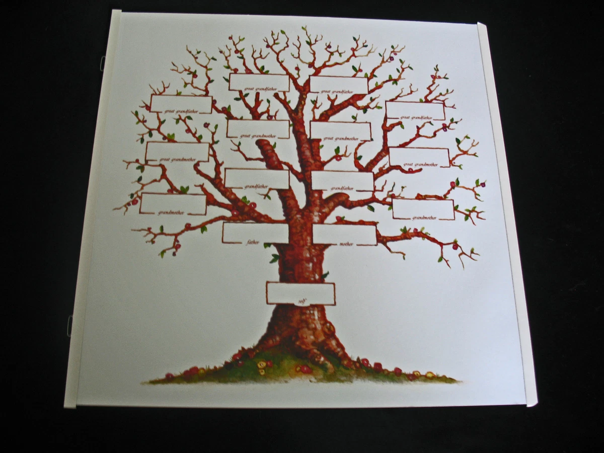 Family Tree Design