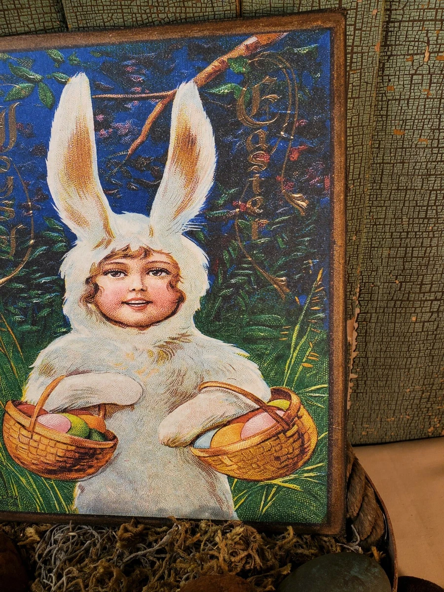 Vintage Easter Bunny Costume