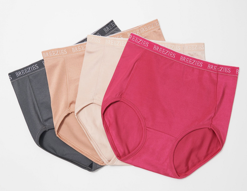 Breezies Women's Set of 4 Nylon Microfiber Brief Panty Solid Orchid ...