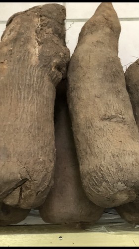 Ghana Yam/Yam/African yam/Quarter Box 3-4 Pieces. | eBay