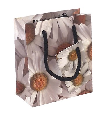 Daisy Small Gift Bag | eBay UK