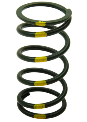 SLP High-Performance Drive Clutch Spring 160 lb - 310 lb Green/Yellow ...