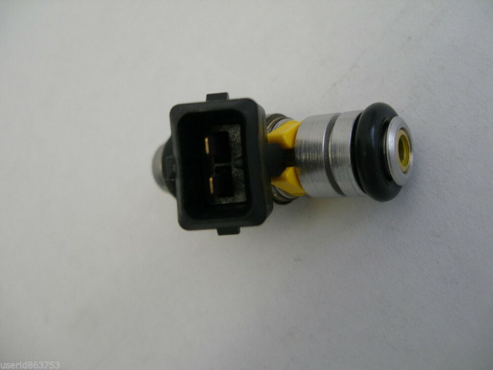 FUEL INJECTOR IWP069 HIGH PERFORMANCE GAS**IT IS CRUCIAL THAT YOU OPEN ...
